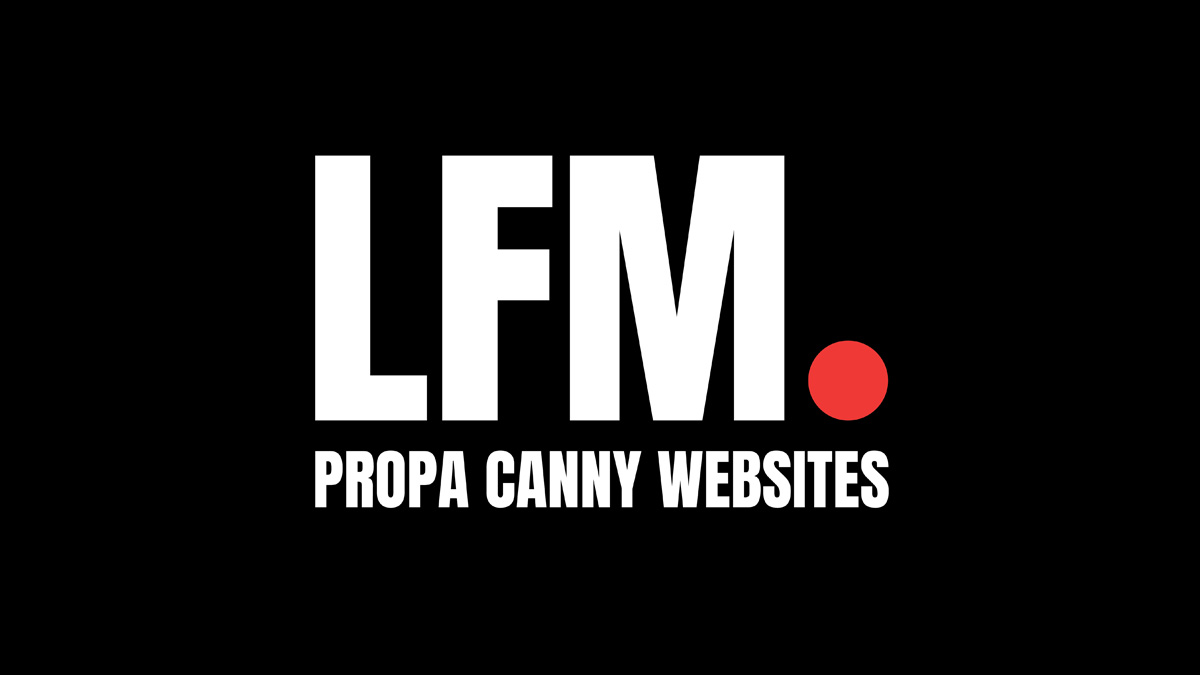 Home • LFM - Luna Flux Marketing